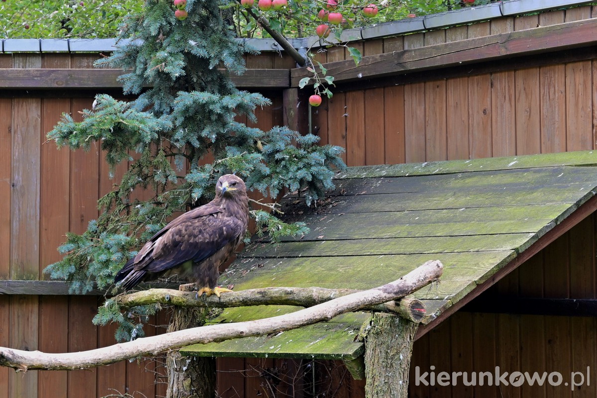 Filmowe Soplicowo. Jedyny w Polsce skansen filmowy!