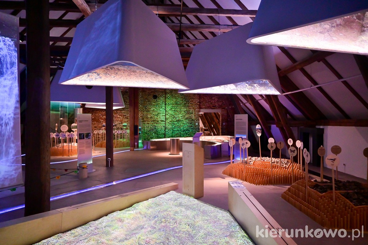 Co kryje Jelenia Góra? Atrakcje i miejsca, które warto poznać - kierunkowo.pl